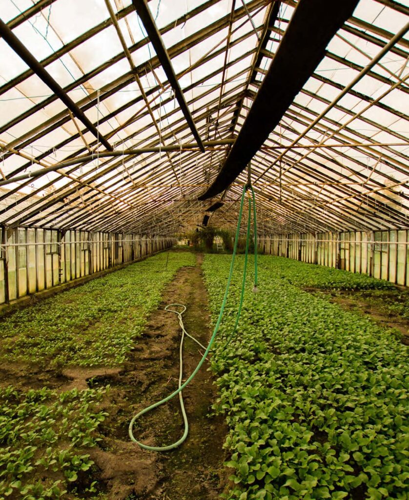 Landscaping Horticulture New Zealand Learning Online landscaping-horticulture-new-zealand-learning-online