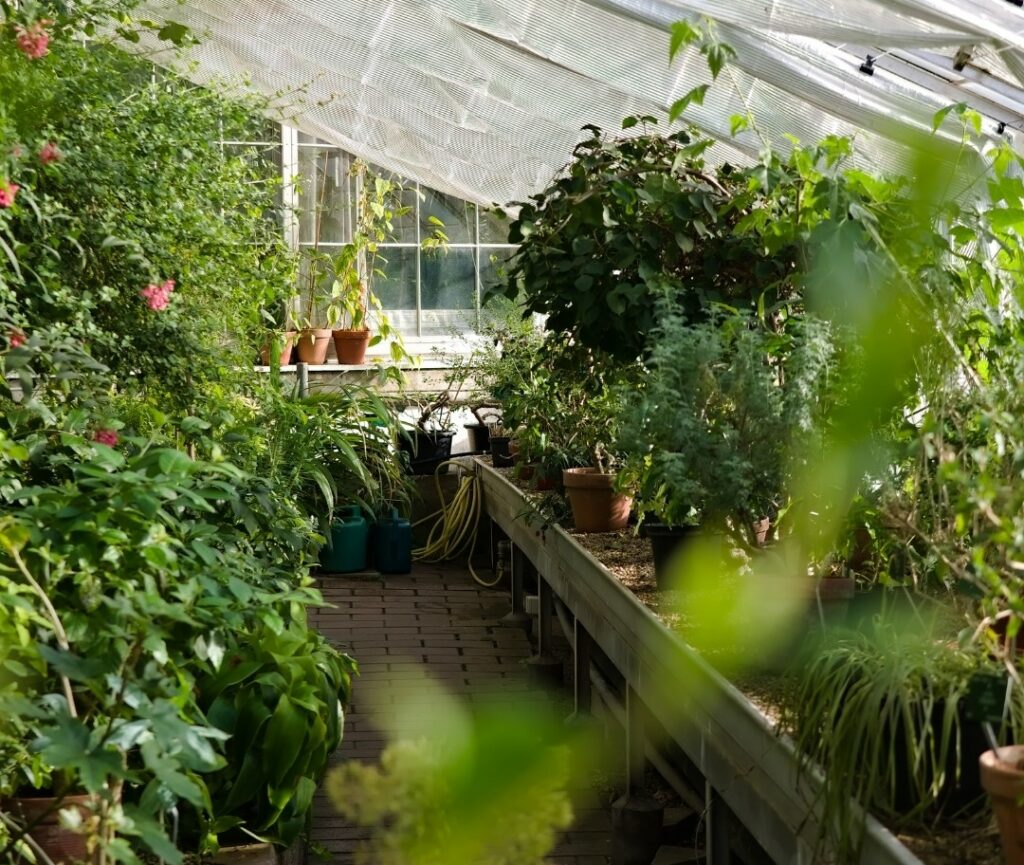 What are the four areas of horticulture?