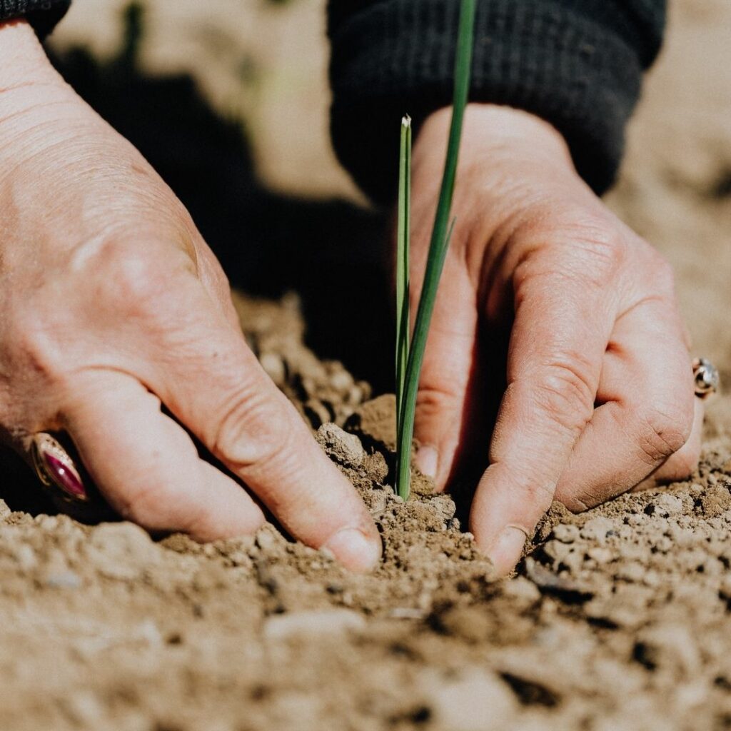 Is agronomy a good career? – New Zealand Learning Online