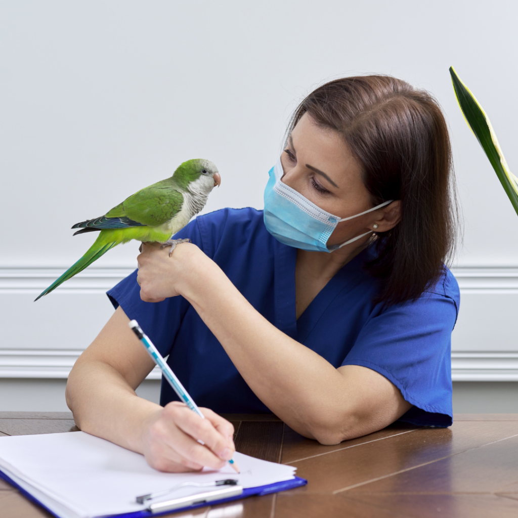 Fun facts about Zoology - why it might just be the career for you