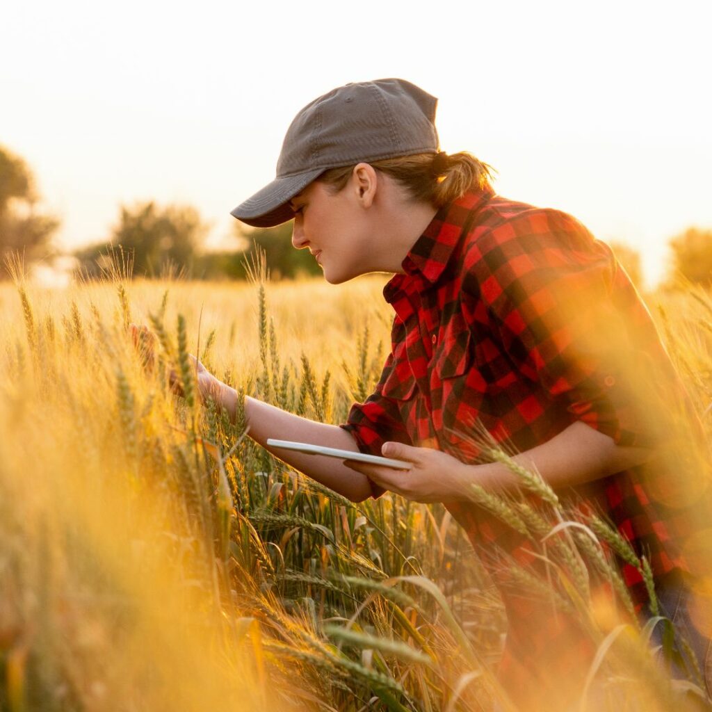 Best Agriculture Courses – New Zealand Learning Online